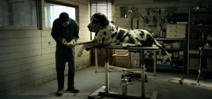 Dogman - Cenas de Cinema