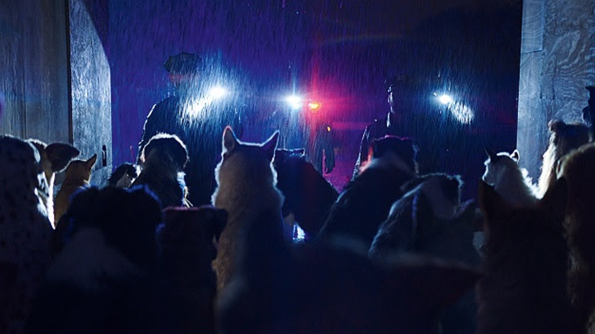 Dogman - Cenas de Cinema